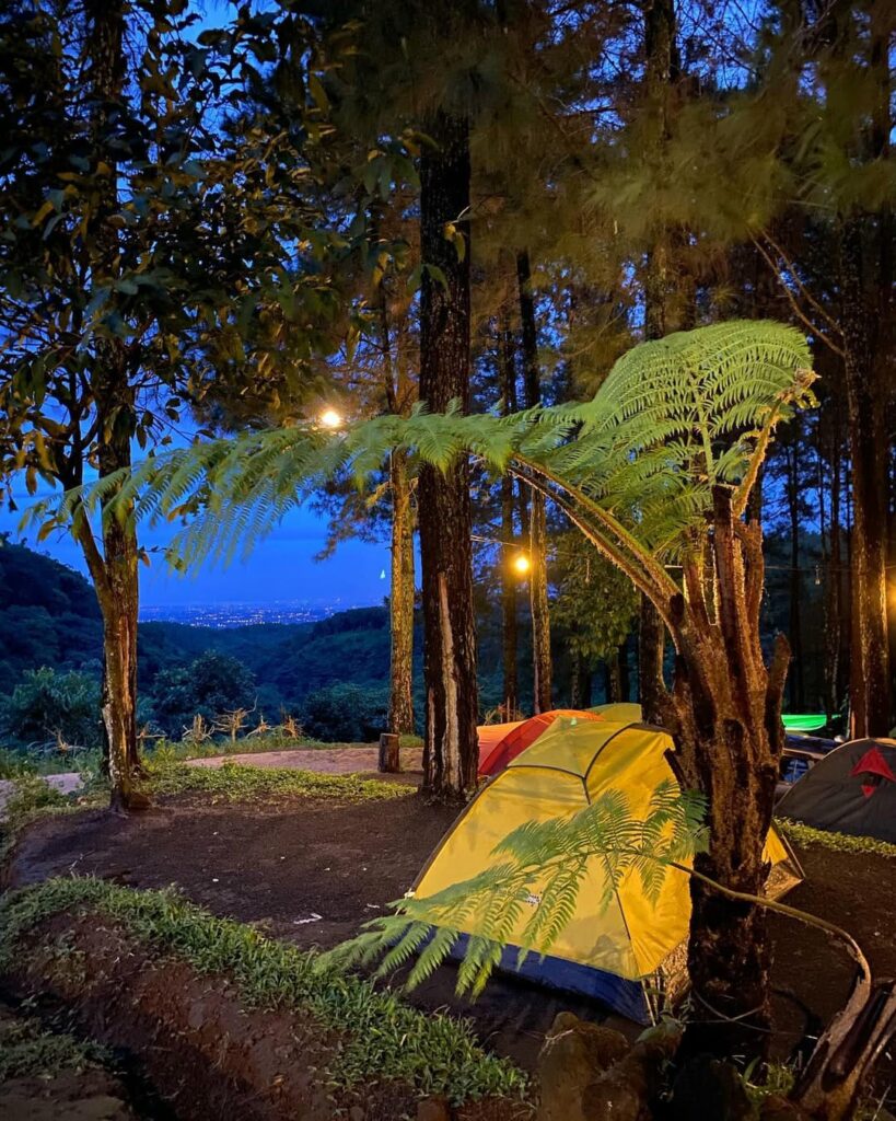 MOJOKERTO, Alas Venus Trawas Camp Ground - Camping Ground Indonesia