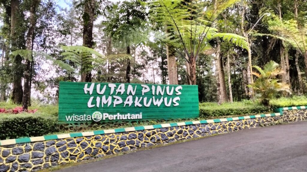 BANYUMAS, Hutan Pinus Camp Limpakuwus - Camping Ground Indonesia