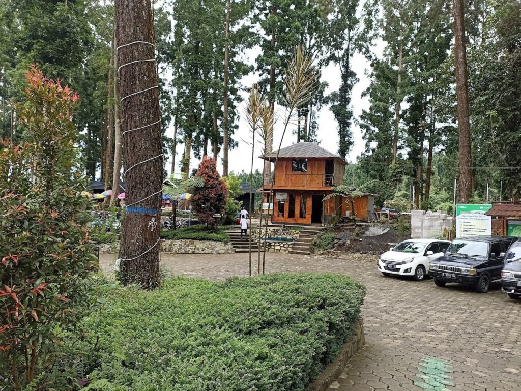 BANYUMAS, Hutan Pinus Camp Limpakuwus - Camping Ground Indonesia